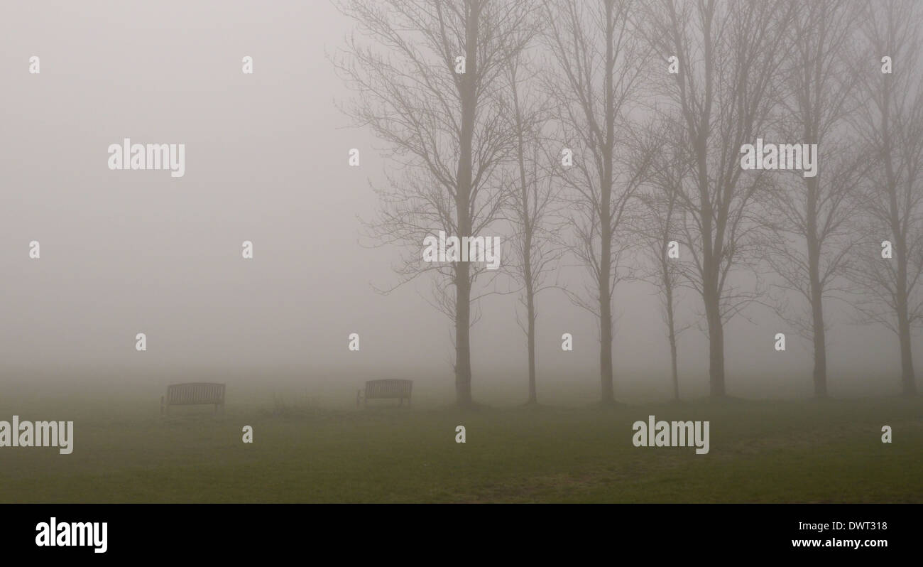 16 trees in row hi-res stock photography and images - Alamy