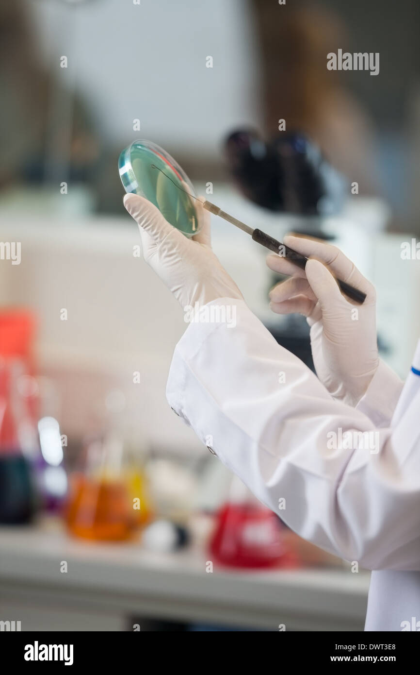 Lab and petri dish hi-res stock photography and images - Alamy