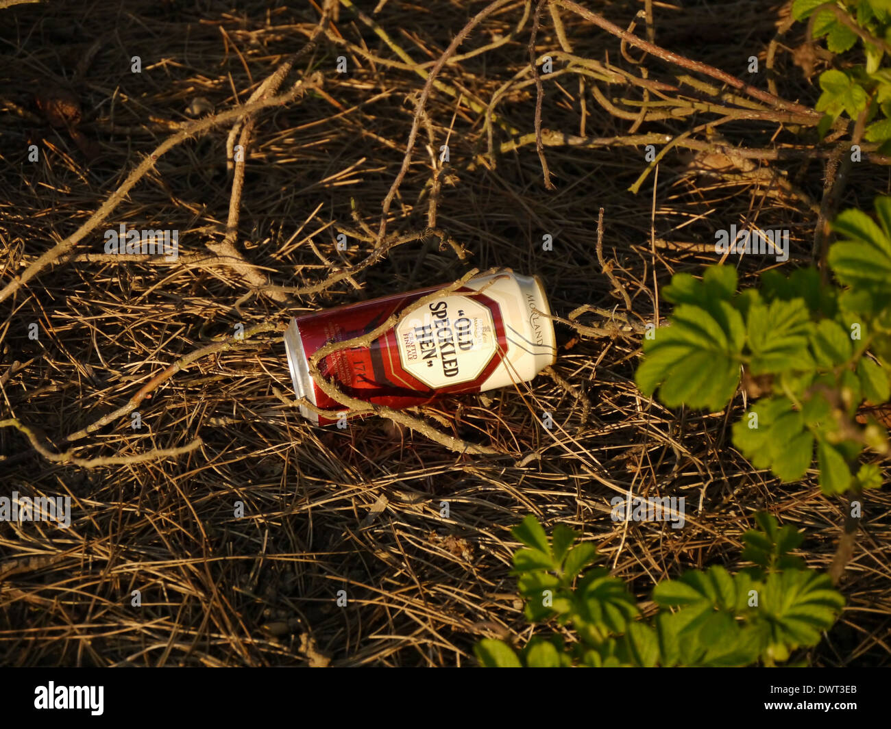 Beer throwing hi-res stock photography and images - Alamy