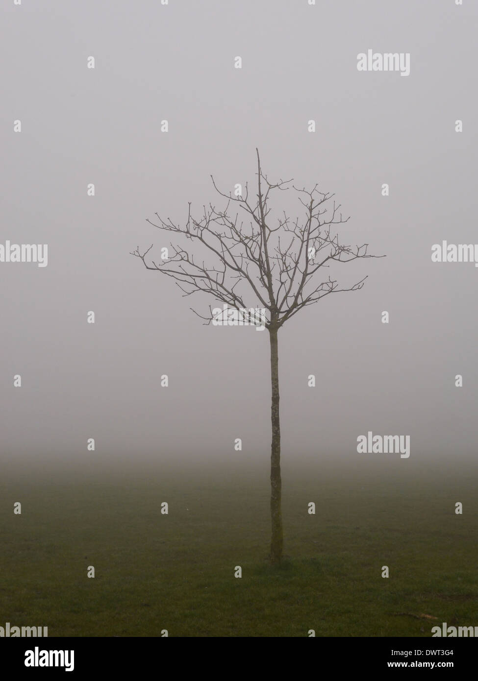 Fading into fog hi-res stock photography and images - Alamy