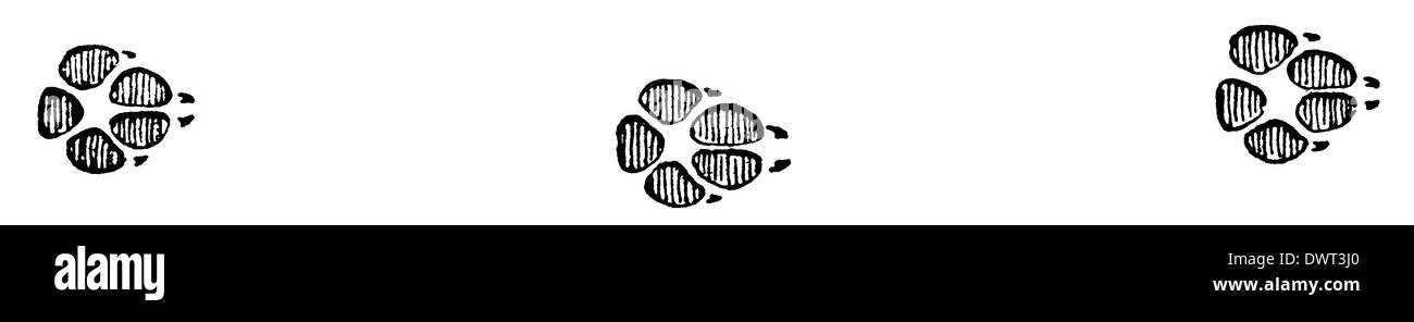 Animal tracks Black and White Stock Photos & Images - Alamy