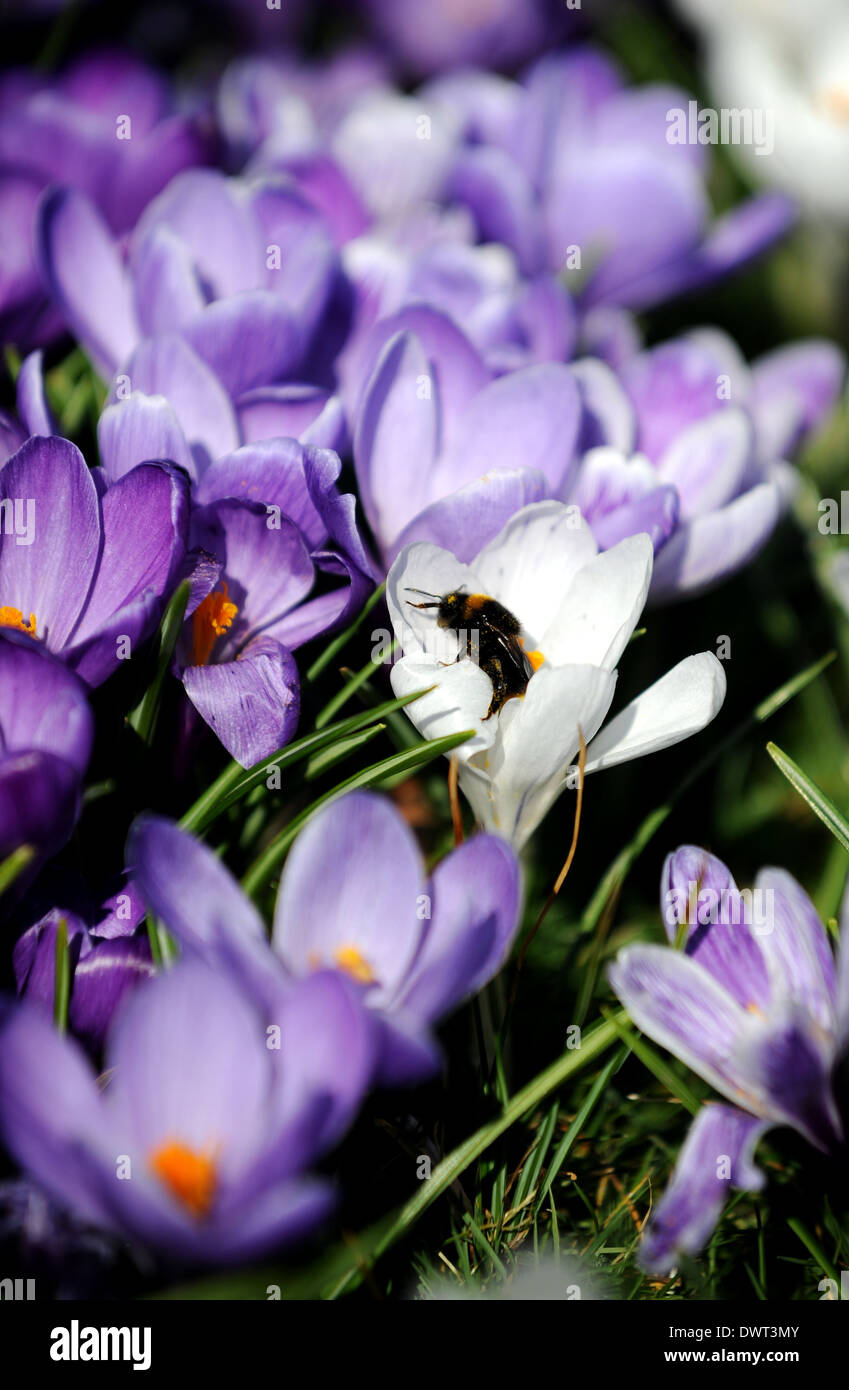 Nat lofthouse statue hi-res stock photography and images - Alamy