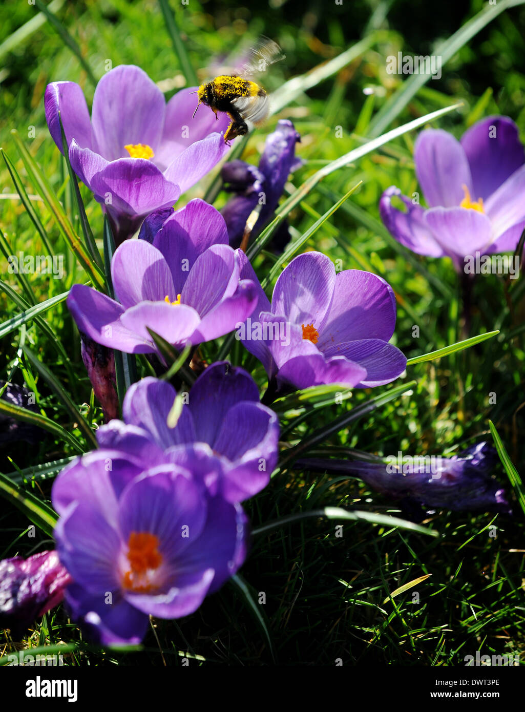 Statue of nat lofthouse hi-res stock photography and images - Alamy