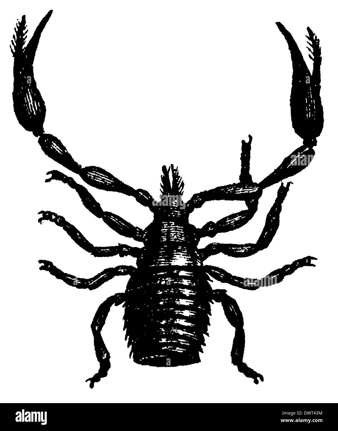 Book graphics hi-res stock photography and images - Alamy