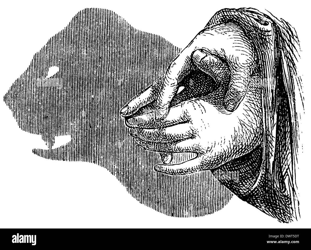Shadow Play: Leo Stock Photo - Alamy