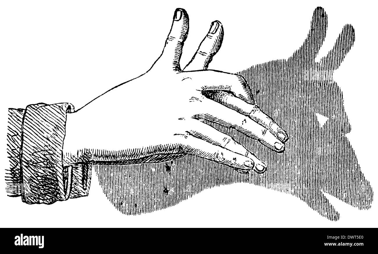 Shadow hands wolf hi-res stock photography and images - Alamy