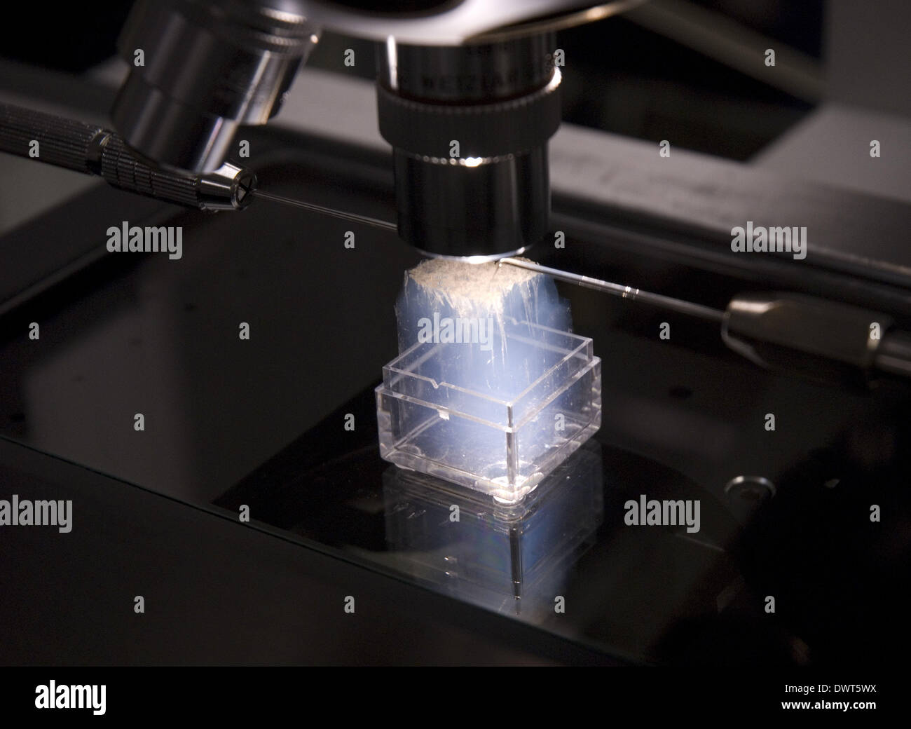 Star dust hi-res stock photography and images - Alamy