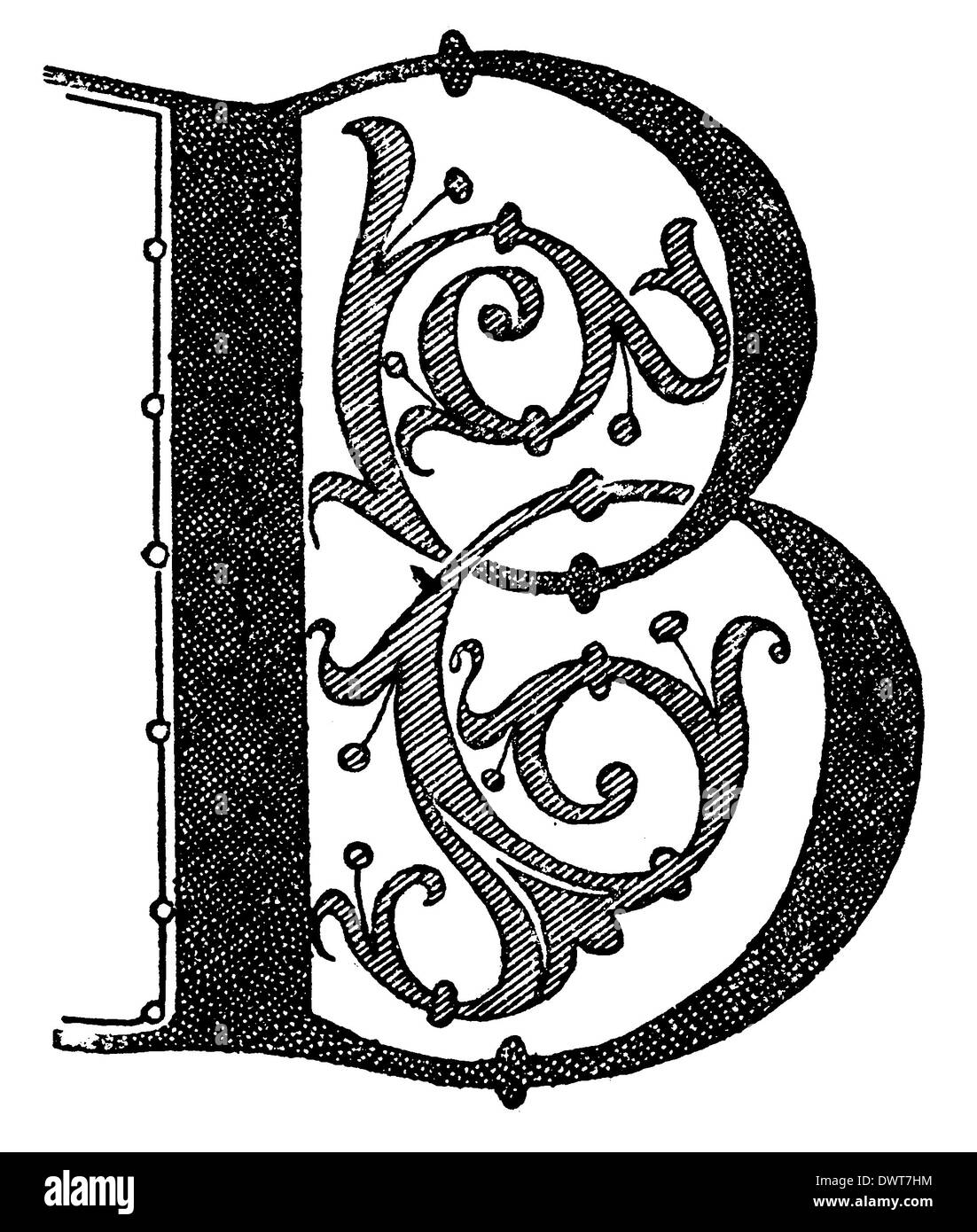 Alphabet b hi-res stock photography and images - Alamy