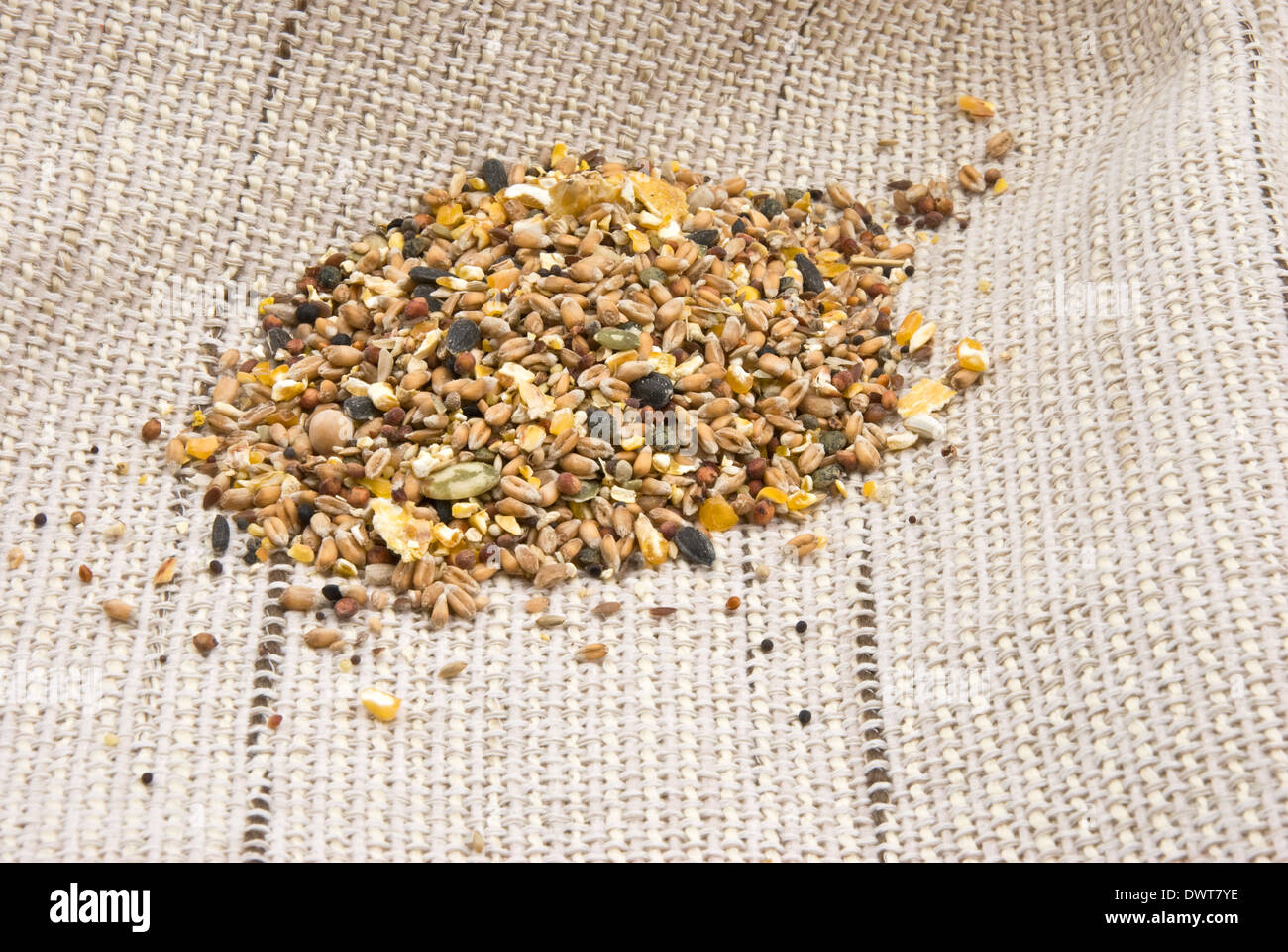 Pile of seed for birds Stock Photo - Alamy
