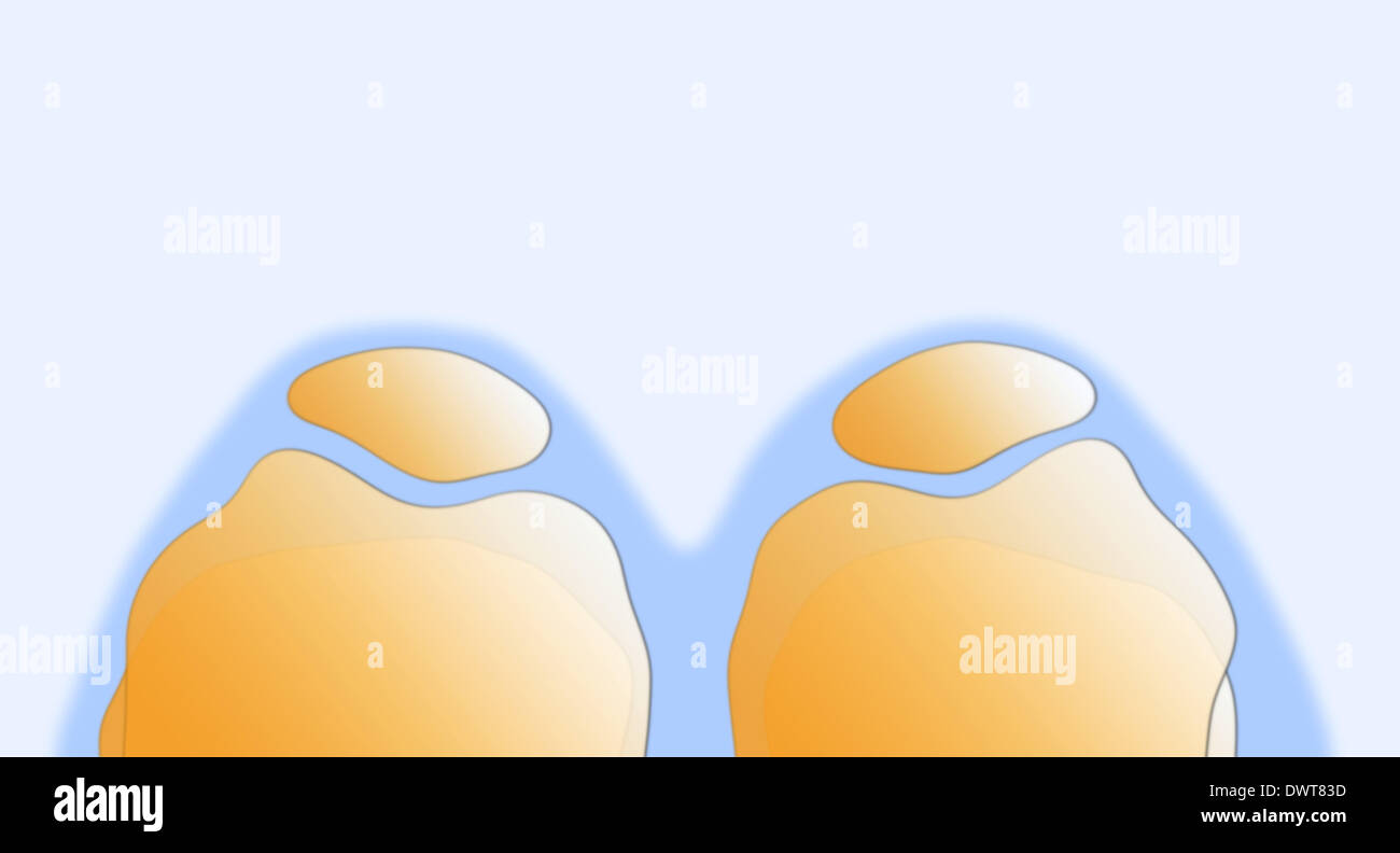 Knee drawing hi-res stock photography and images - Alamy