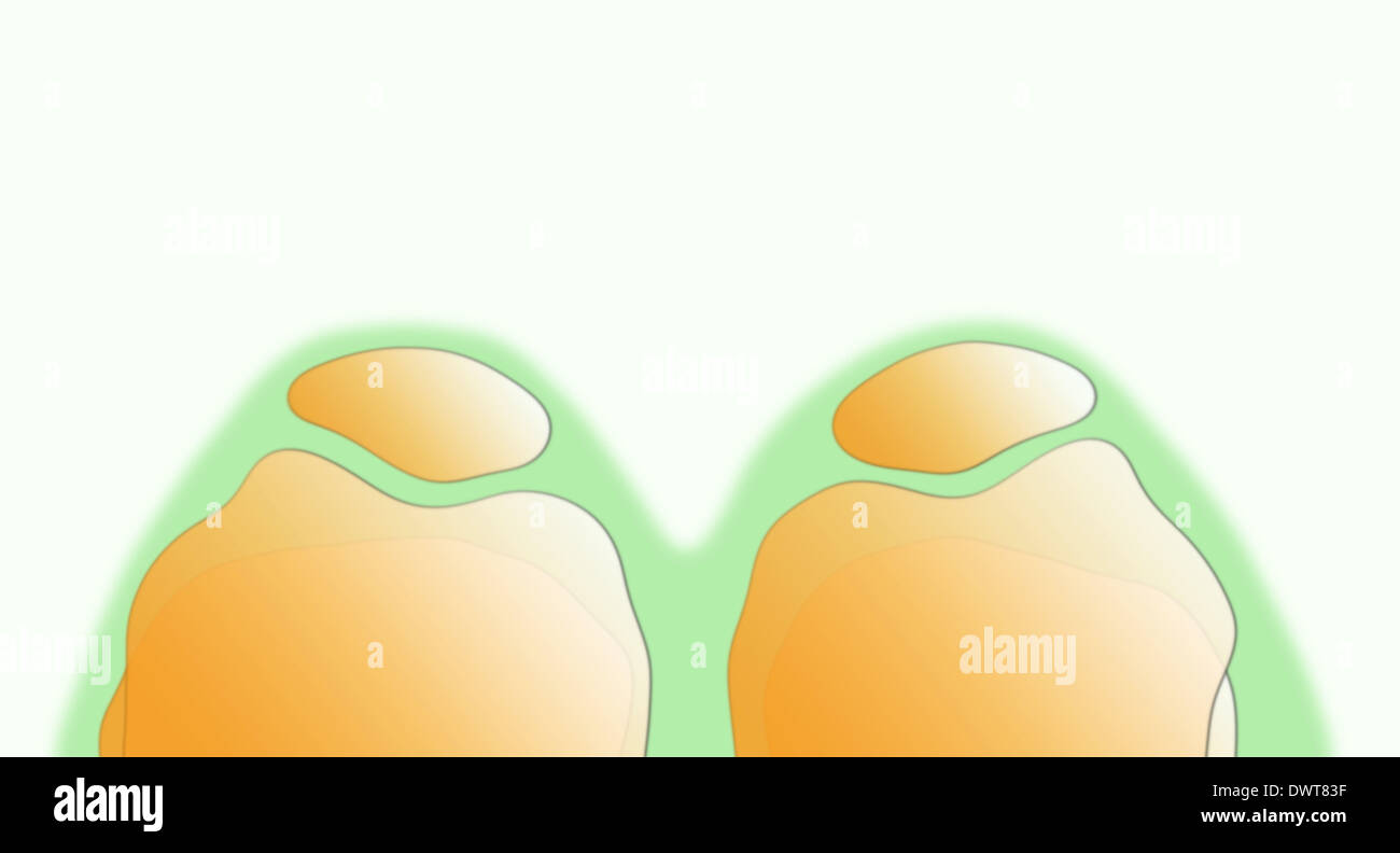 Knee drawing hi-res stock photography and images - Alamy