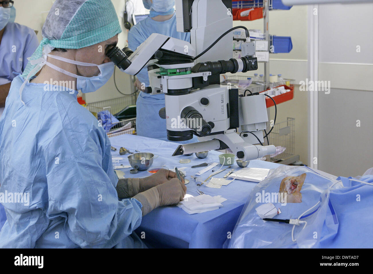 Eye Tumor Stock Photos & Eye Tumor Stock Images - Alamy
