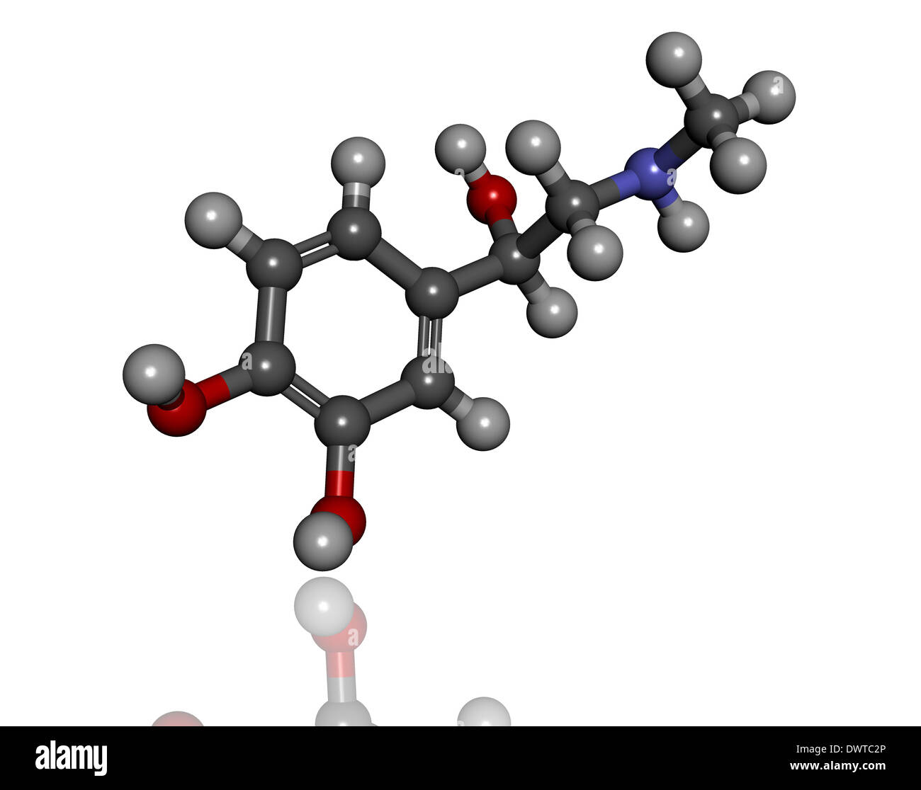 Adrenaline molecule hi-res stock photography and images - Alamy