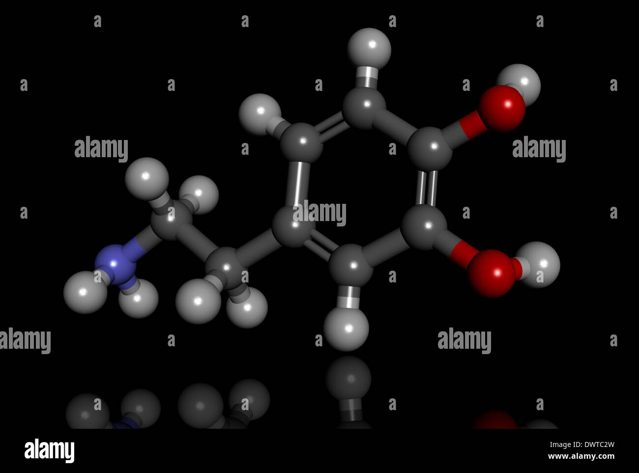 Dopamine molecule hi-res stock photography and images - Alamy