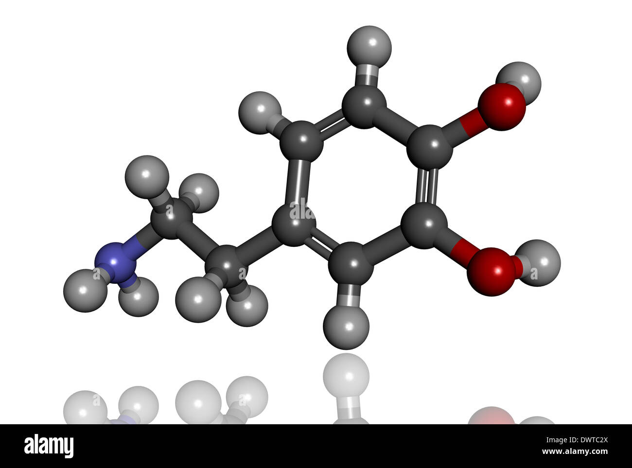 Dopamine Neurotransmitter Stock Photos & Dopamine Neurotransmitter ...