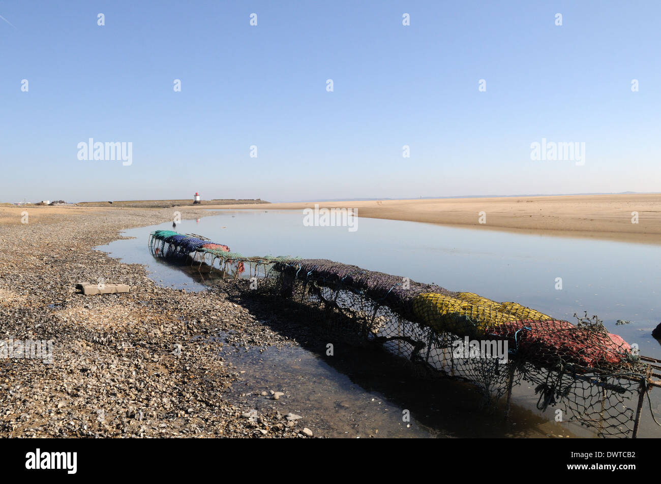 Sacks of mussels hi-res stock photography and images - Alamy