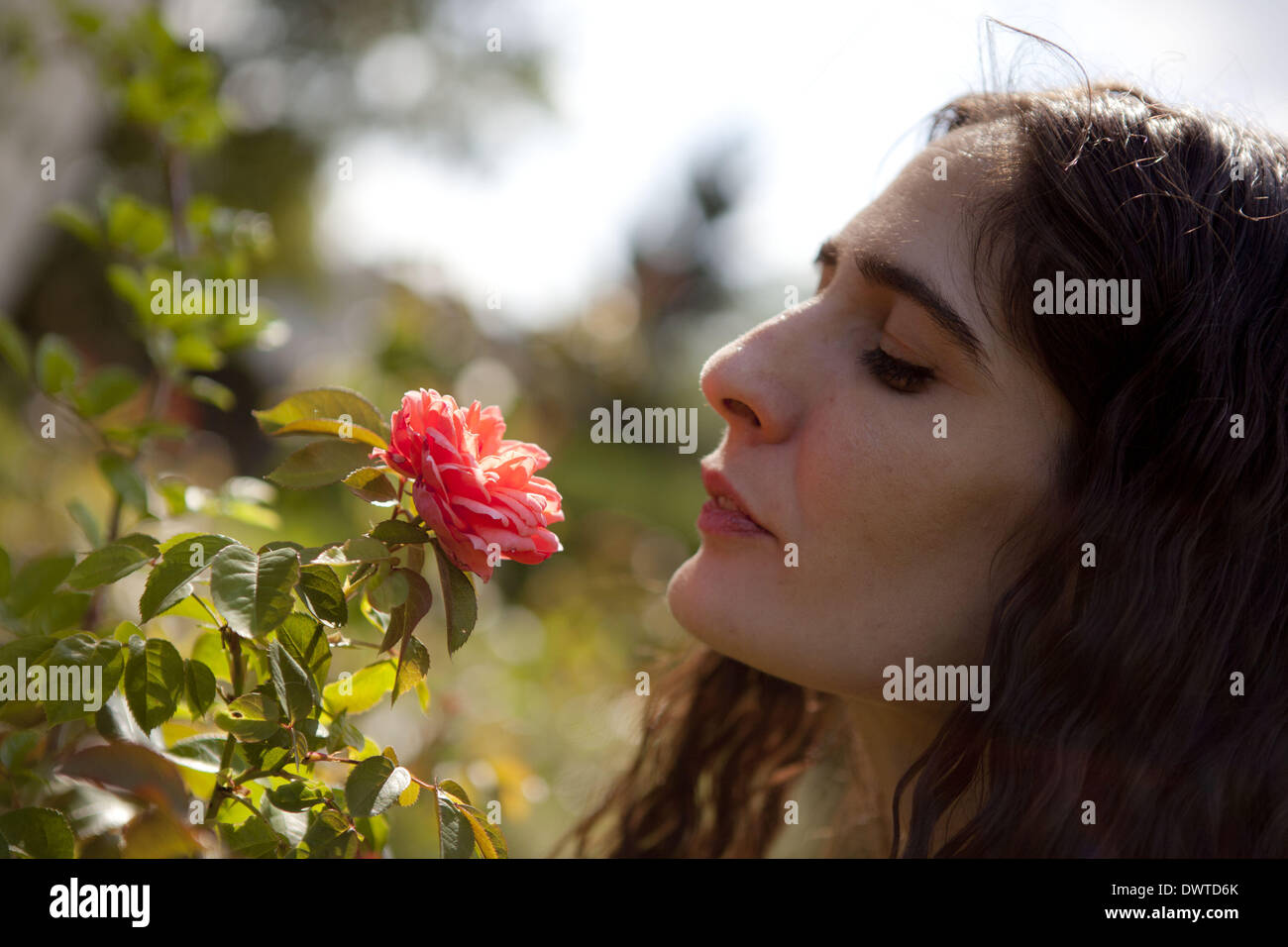 Rose flower woman Stock Photo - Alamy
