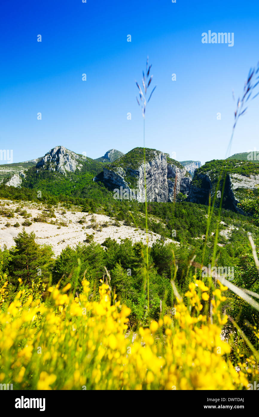 Mountain plateau in Province, Alps, France covered with forests Stock ...