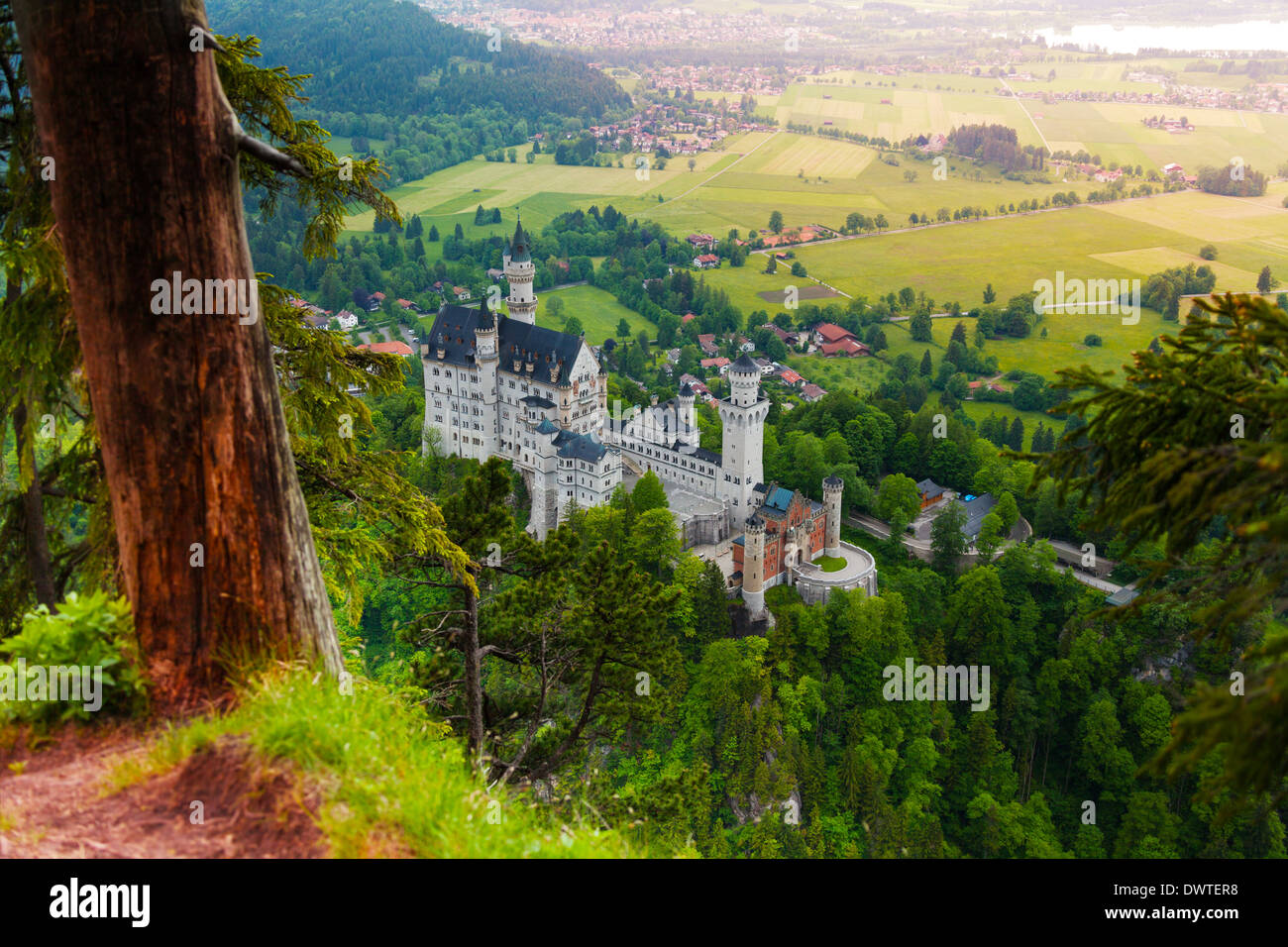 Neuschwanstein from top view and the tree Stock Photo - Alamy