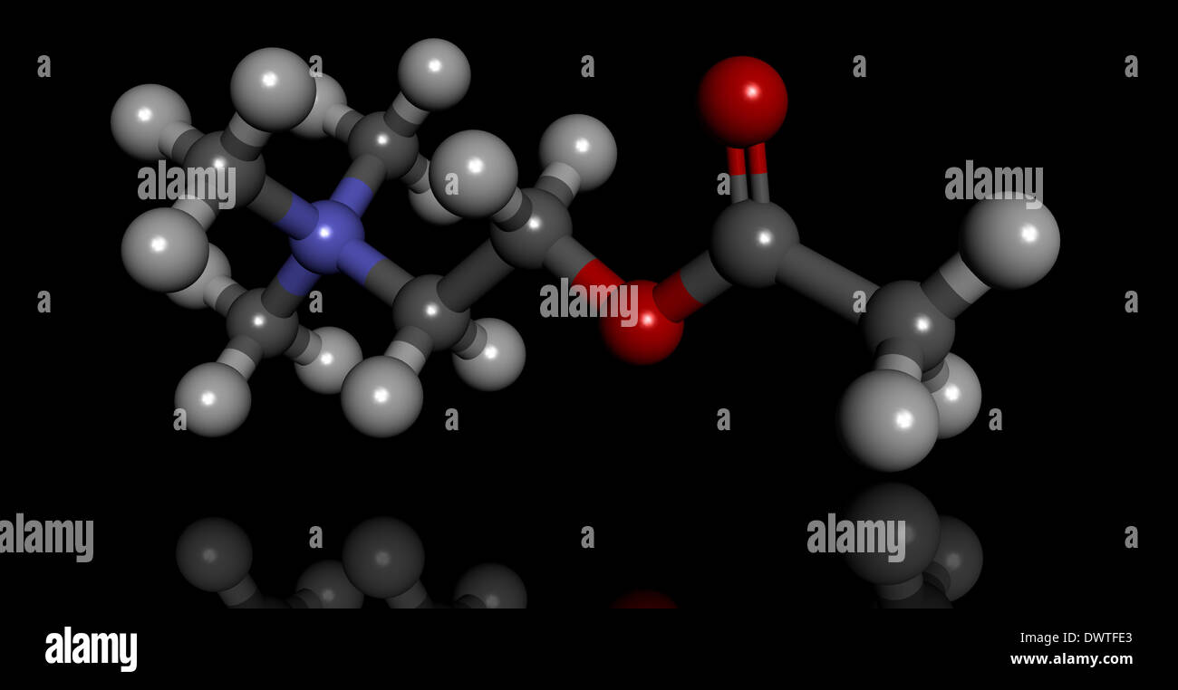 Acetylcholine molecule science medicine hi-res stock photography and ...
