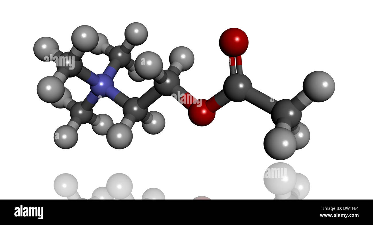 Acetylcholine molecule science medicine hi-res stock photography and ...