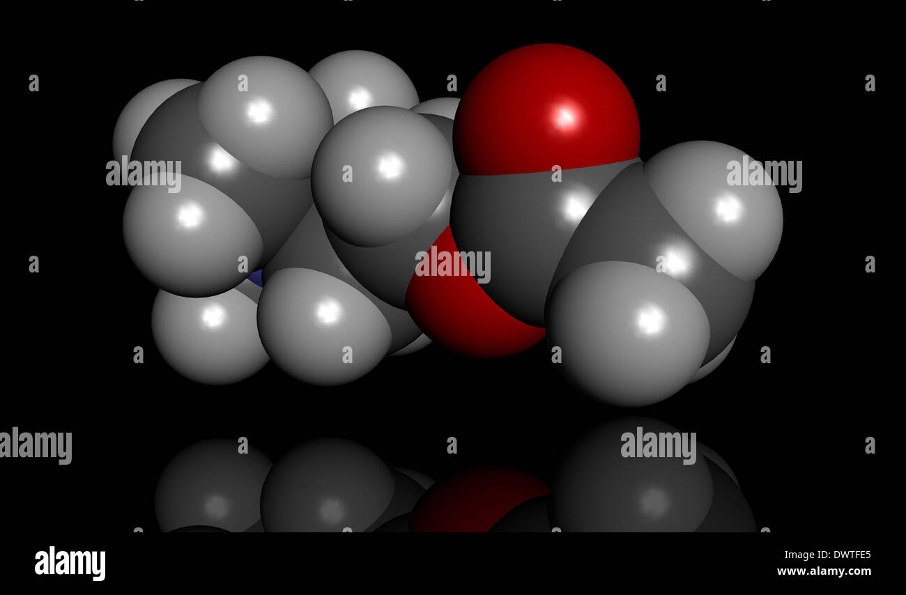 Acetylcholine molecule science medicine hi-res stock photography and ...