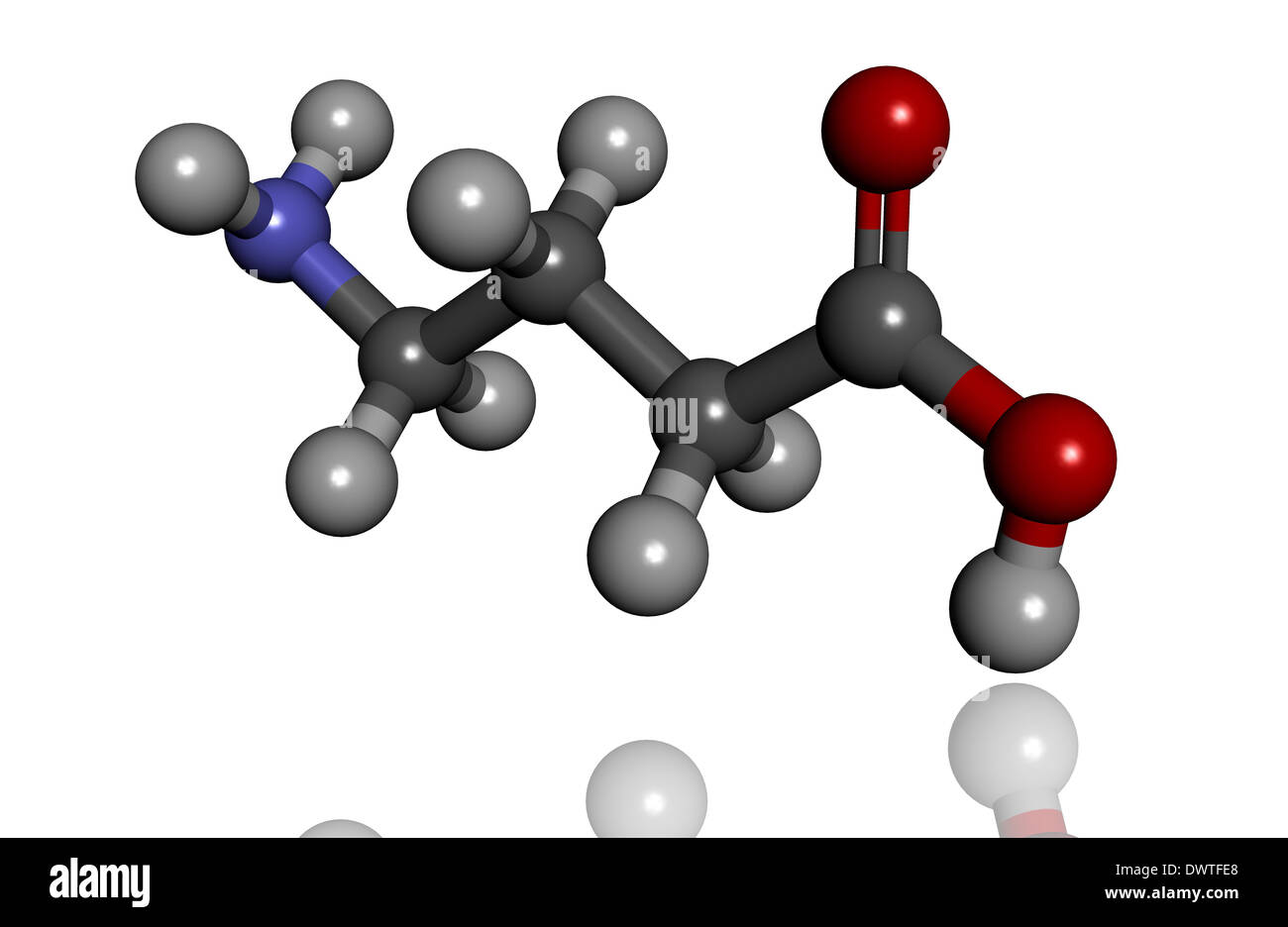 Gamma aminobutyric acid gaba molecule hi-res stock photography and ... Gamma aminobutyric acid gaba molecule hi-res stock photography and ...