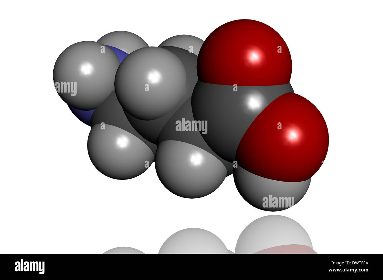 Gamma aminobutyric acid gaba molecule hi-res stock photography and ...