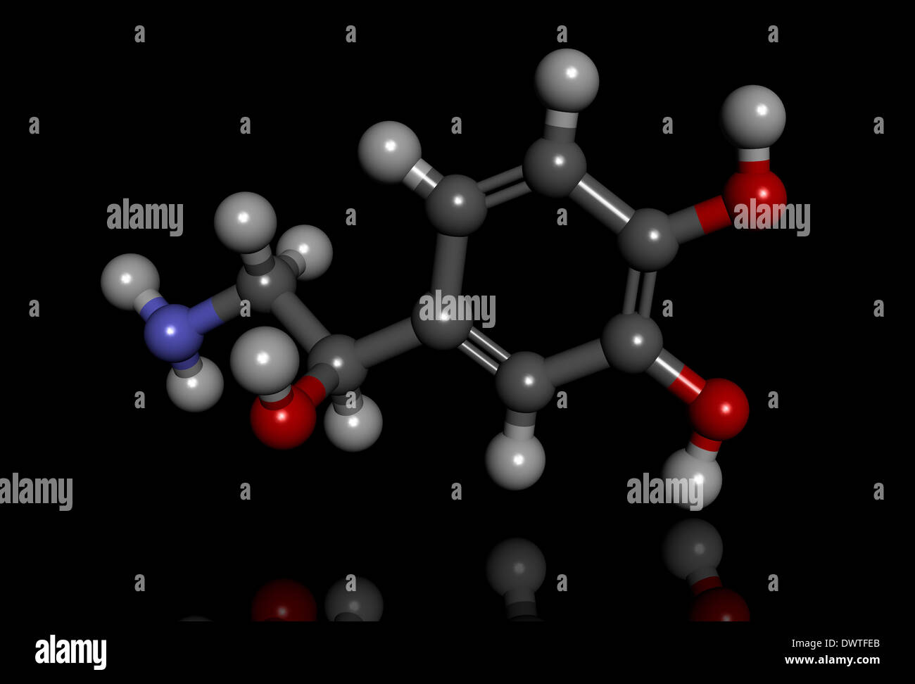 Noradrenaline hi-res stock photography and images - Alamy