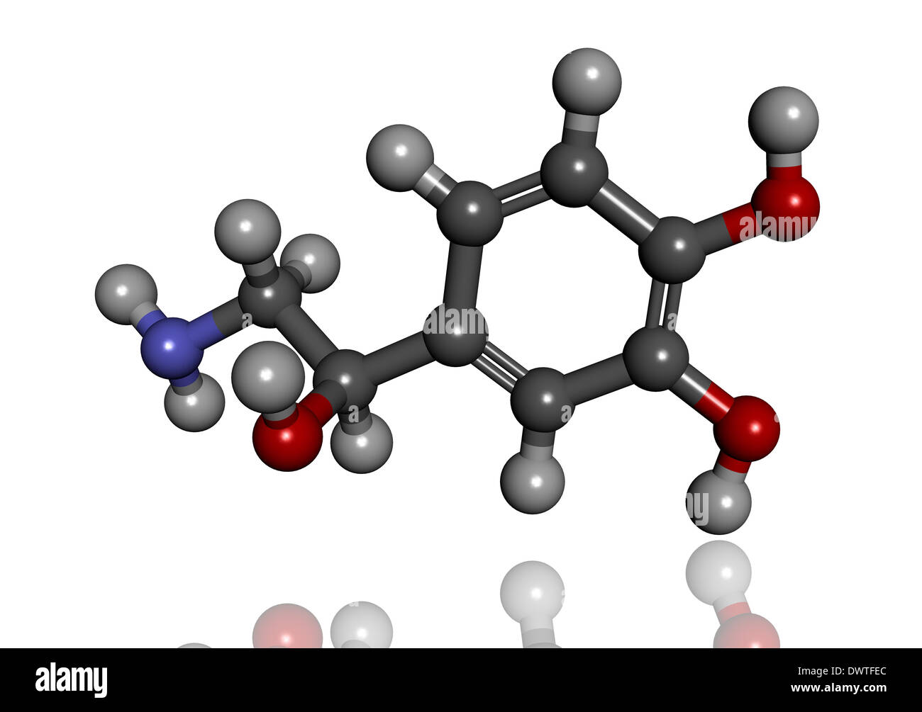 Noradrenaline norepinephrine molecule hi-res stock photography and ...