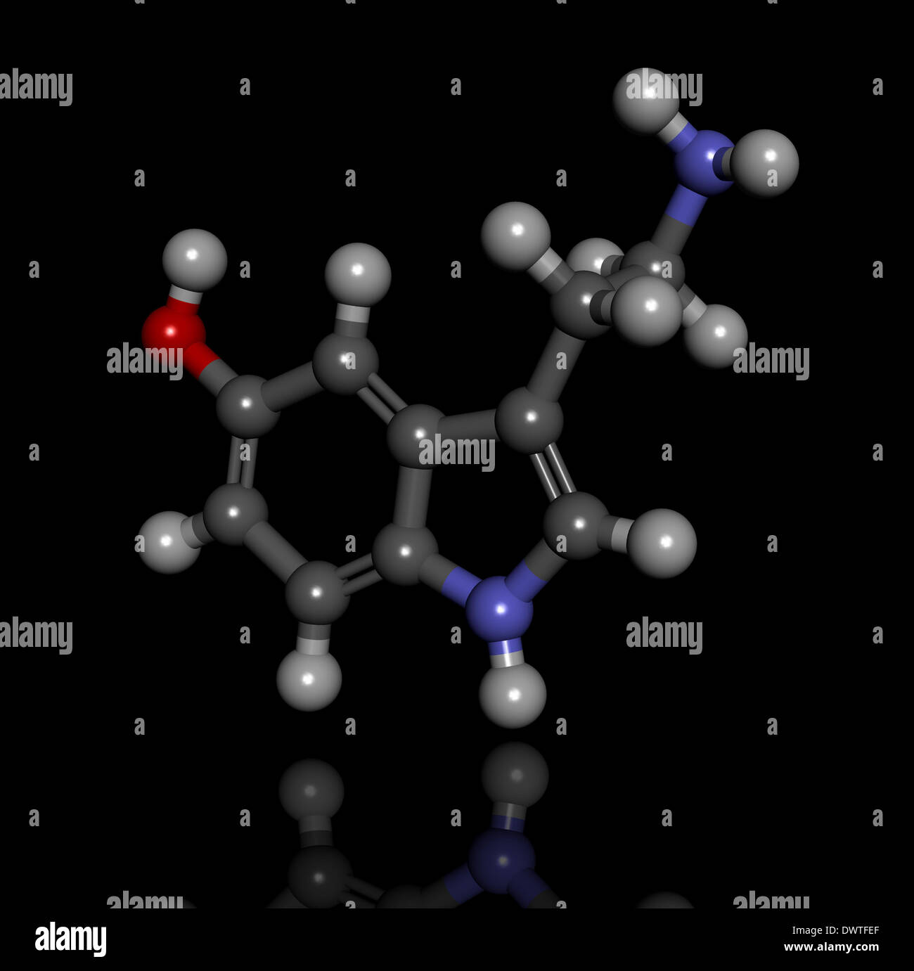 Serotonin molecule hi-res stock photography and images - Alamy