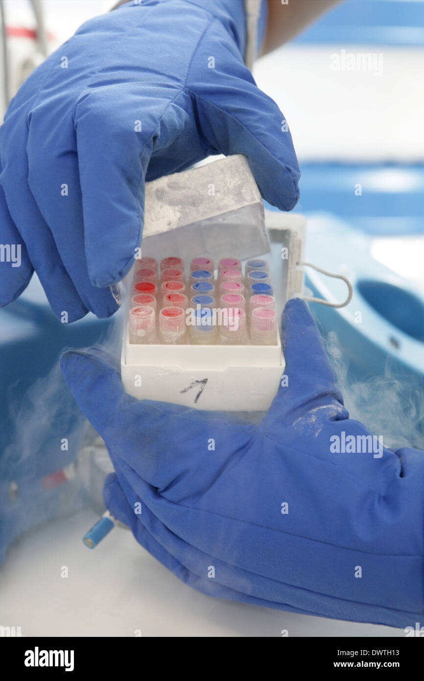 Cryopreservation hi-res stock photography and images - Alamy