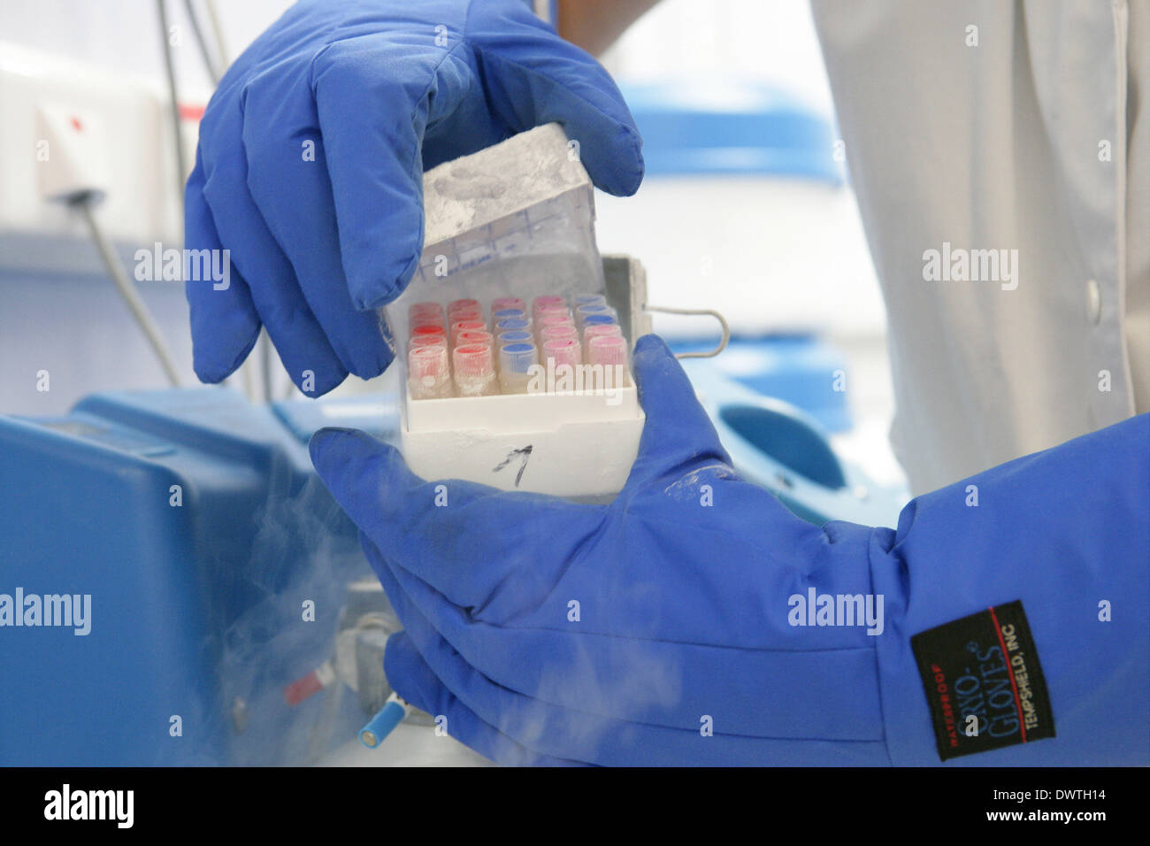 Tissue cryopreservation ovary hi-res stock photography and images - Alamy