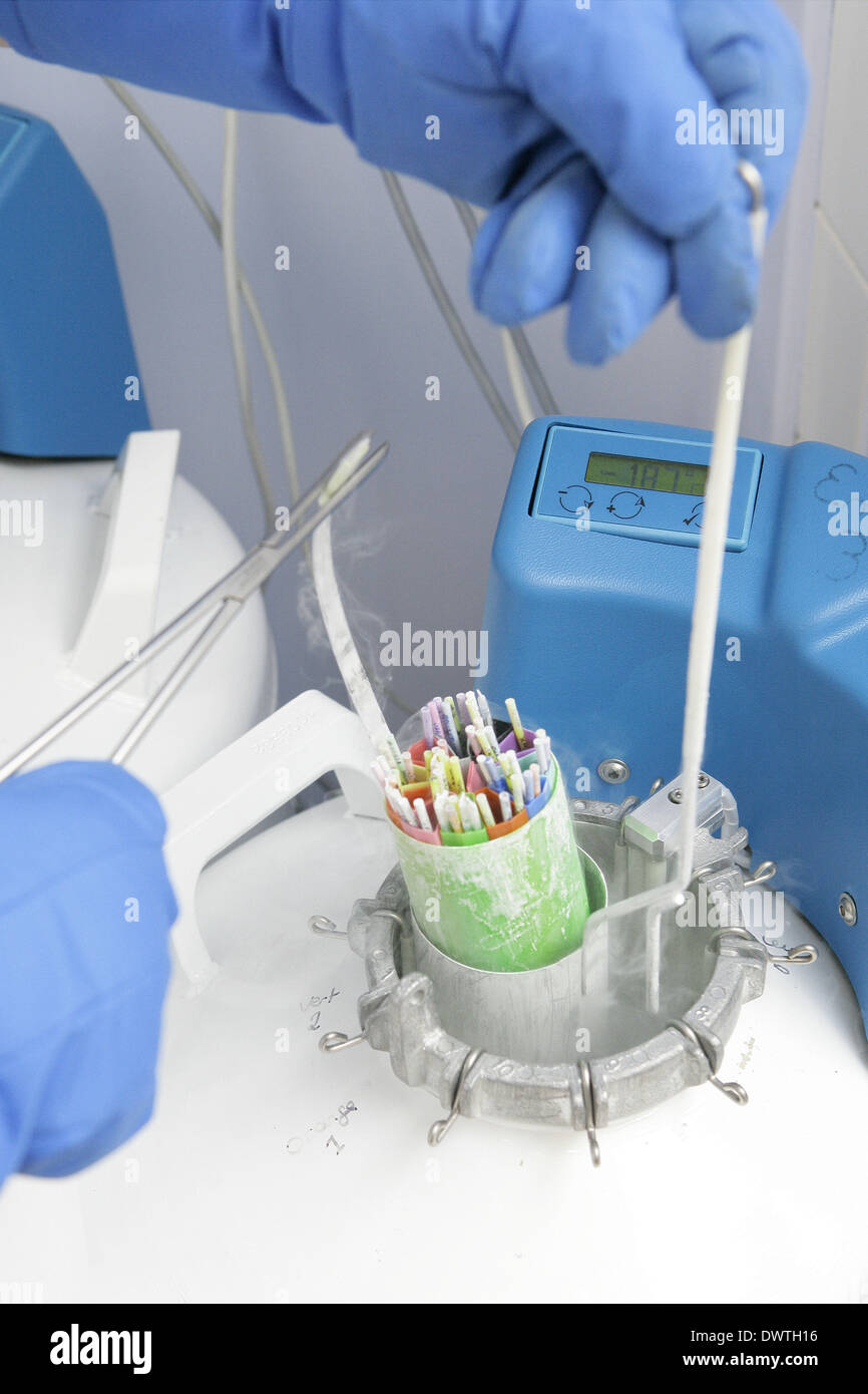 Cryopreservation embryo hi-res stock photography and images - Alamy