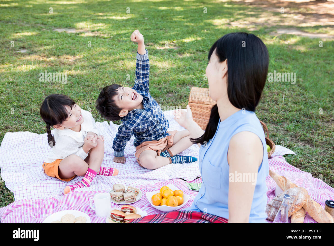 a family having a picnic day Stock Photo - Alamy
