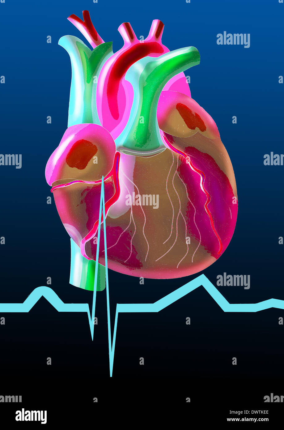 Cardiac rythm drawing Stock Photo - Alamy