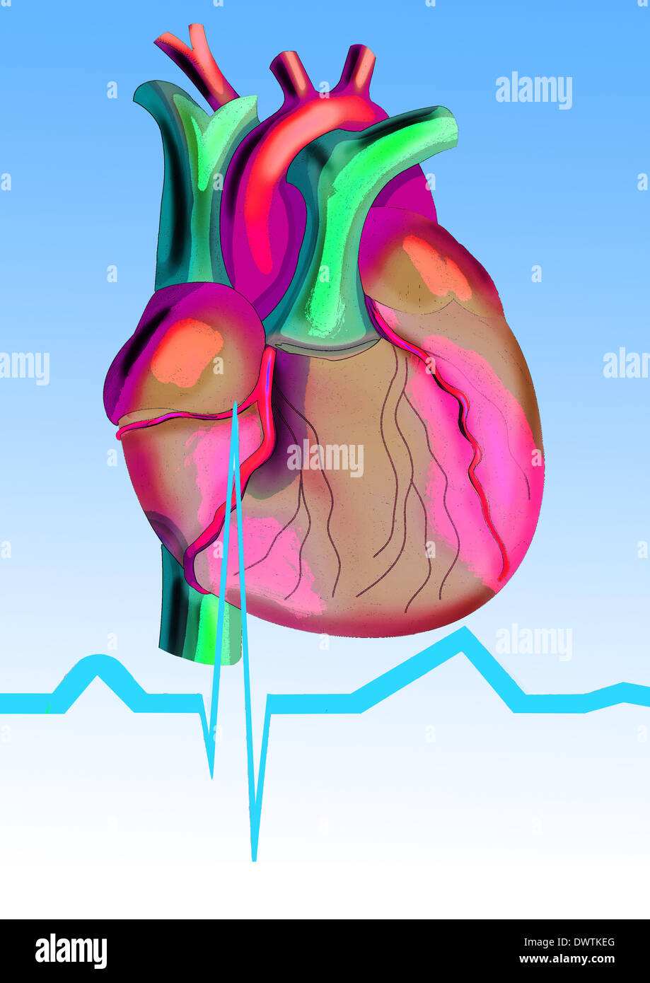 Cardiac rythm drawing Stock Photo - Alamy