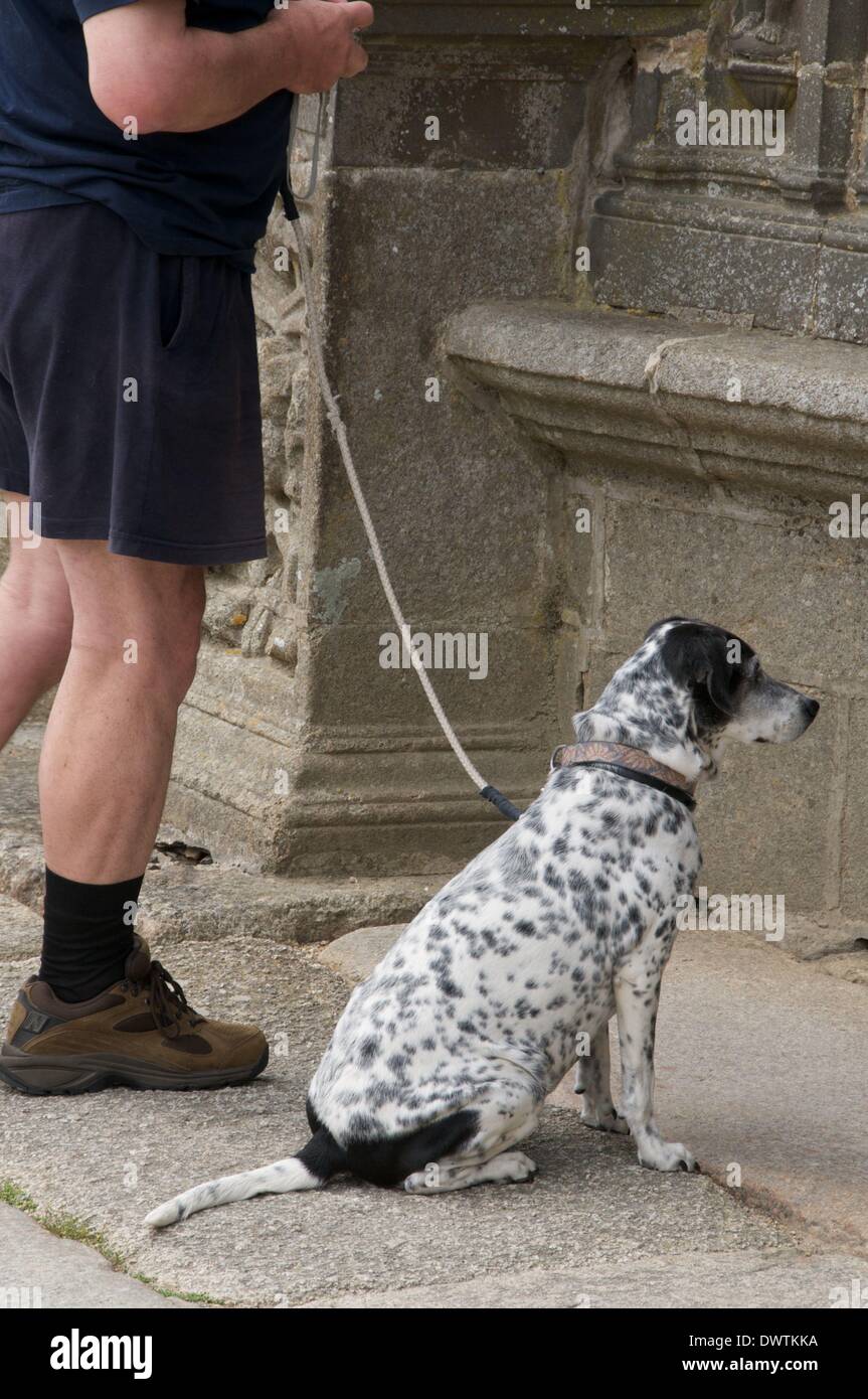Man as animal hi-res stock photography and images - Alamy