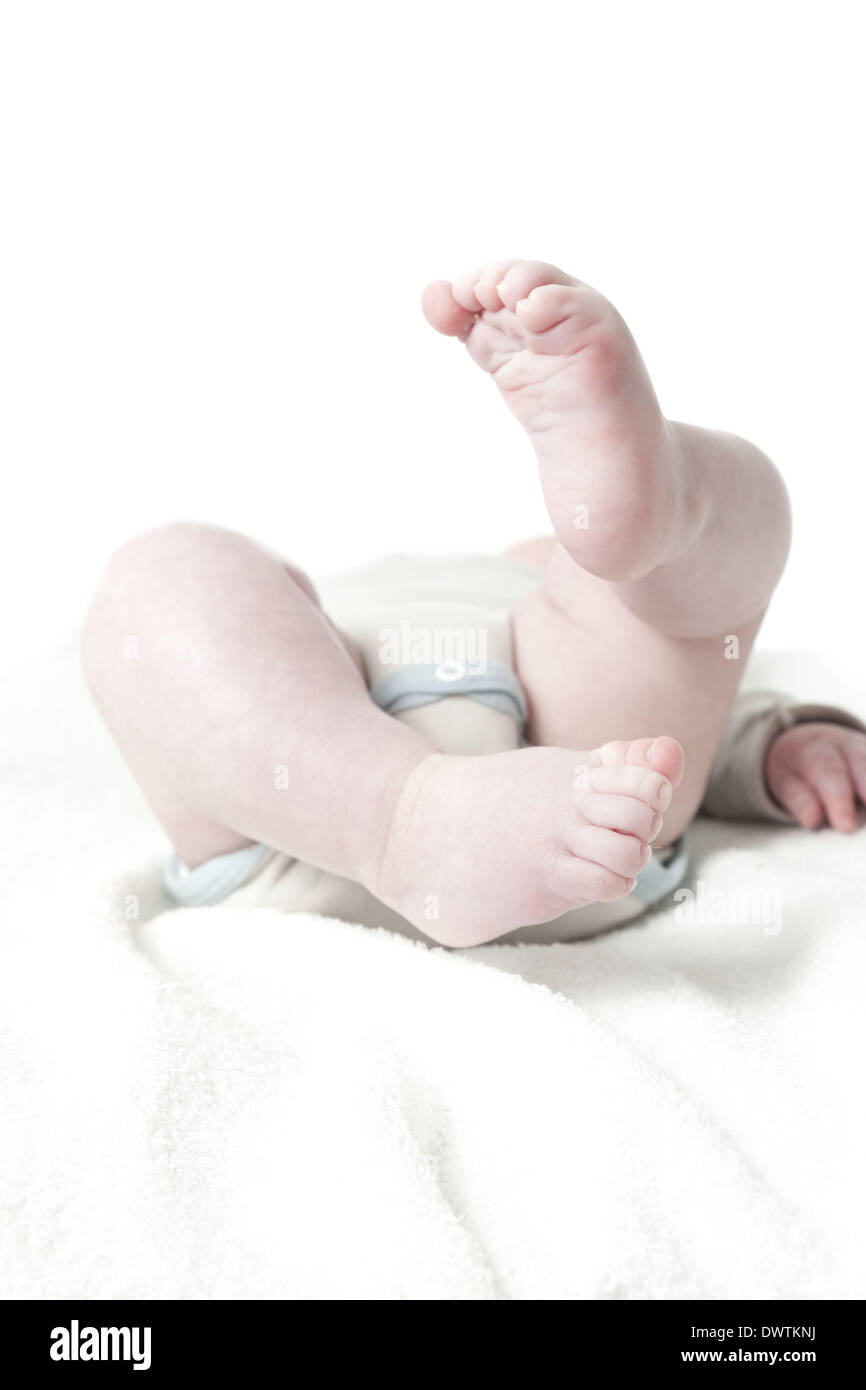 5 8 month Cut Out Stock Images & Pictures - Alamy