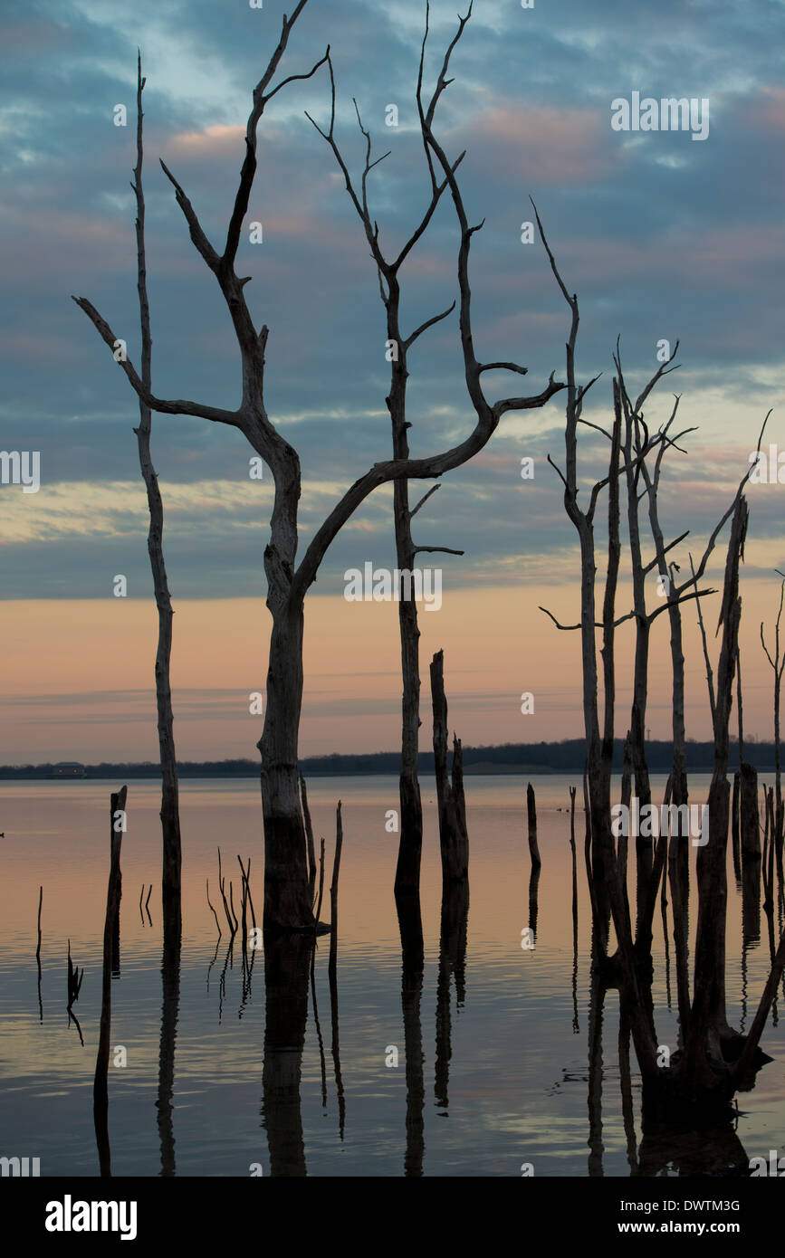 Smooth glow hi-res stock photography and images - Alamy