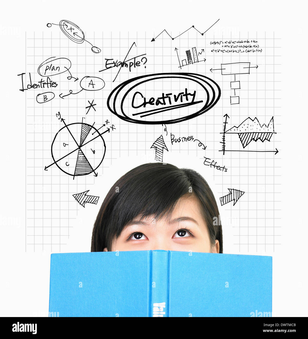 Human ethnicities diagram hi-res stock photography and images - Alamy