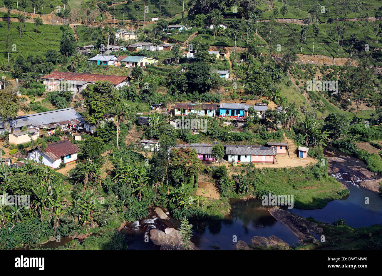 Tea plantation community residential housing on the Sri Lanka highlands ...