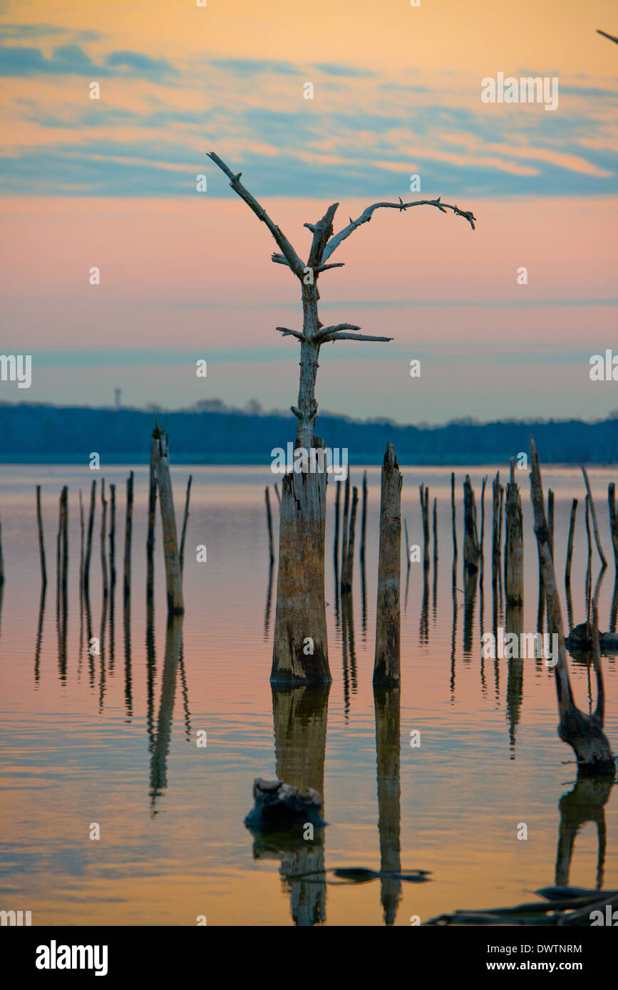 Smooth glow hi-res stock photography and images - Alamy