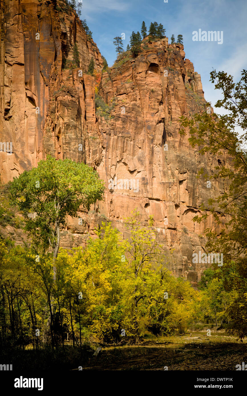 Rock Formations in Zion National Park, Utah Stock Photo - Alamy