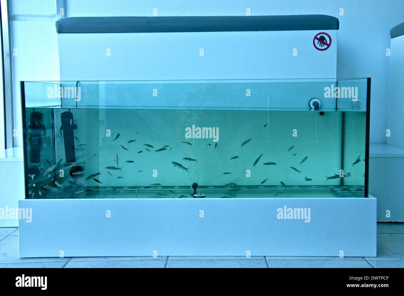 Freshwater fish treatment hi-res stock photography and images - Alamy