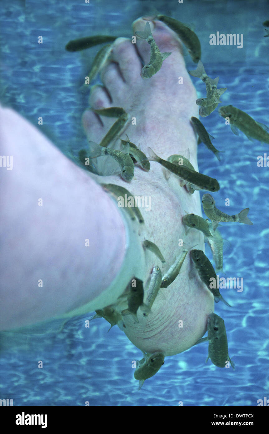 Freshwater fish treatment hi-res stock photography and images - Alamy