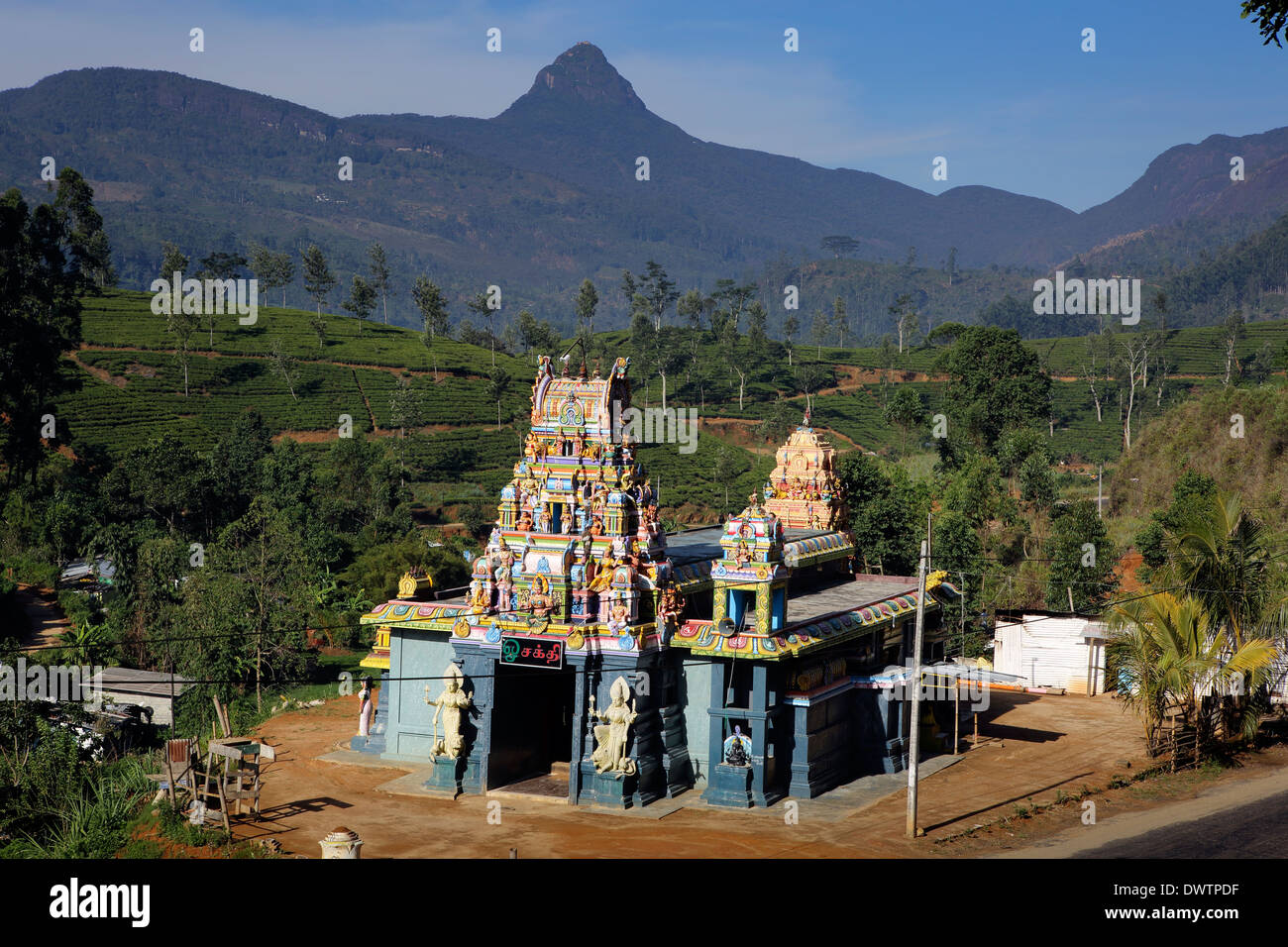 Hindu kovil with Adam's Peak in the background, in Maskeliya, Sri Lanka ...