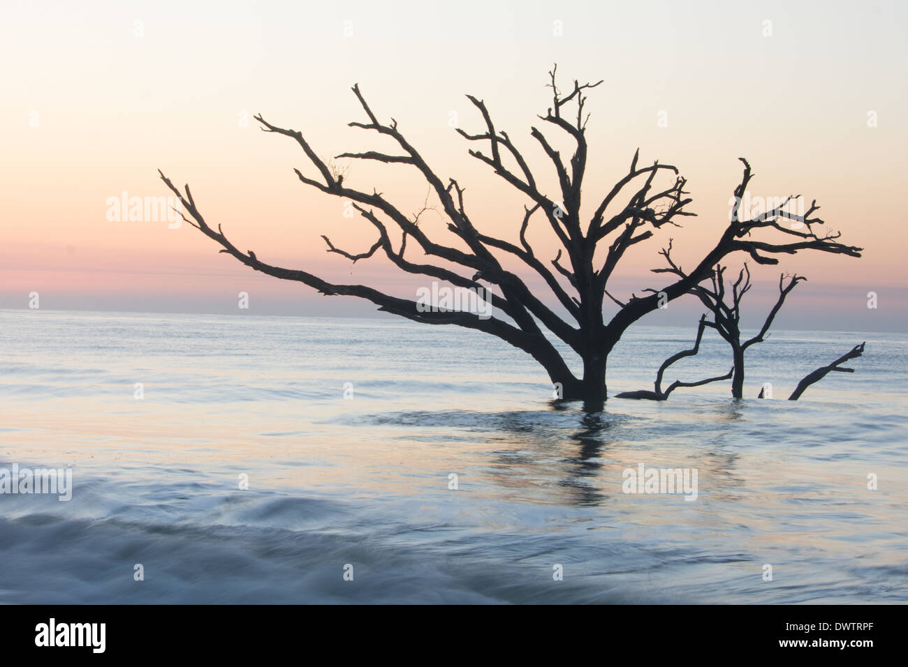 Botany bay beach south carolina hi-res stock photography and images - Alamy