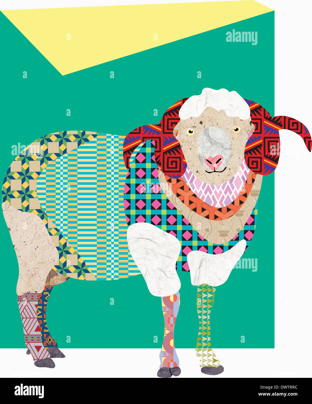 Different colored sheep hi-res stock photography and images - Alamy