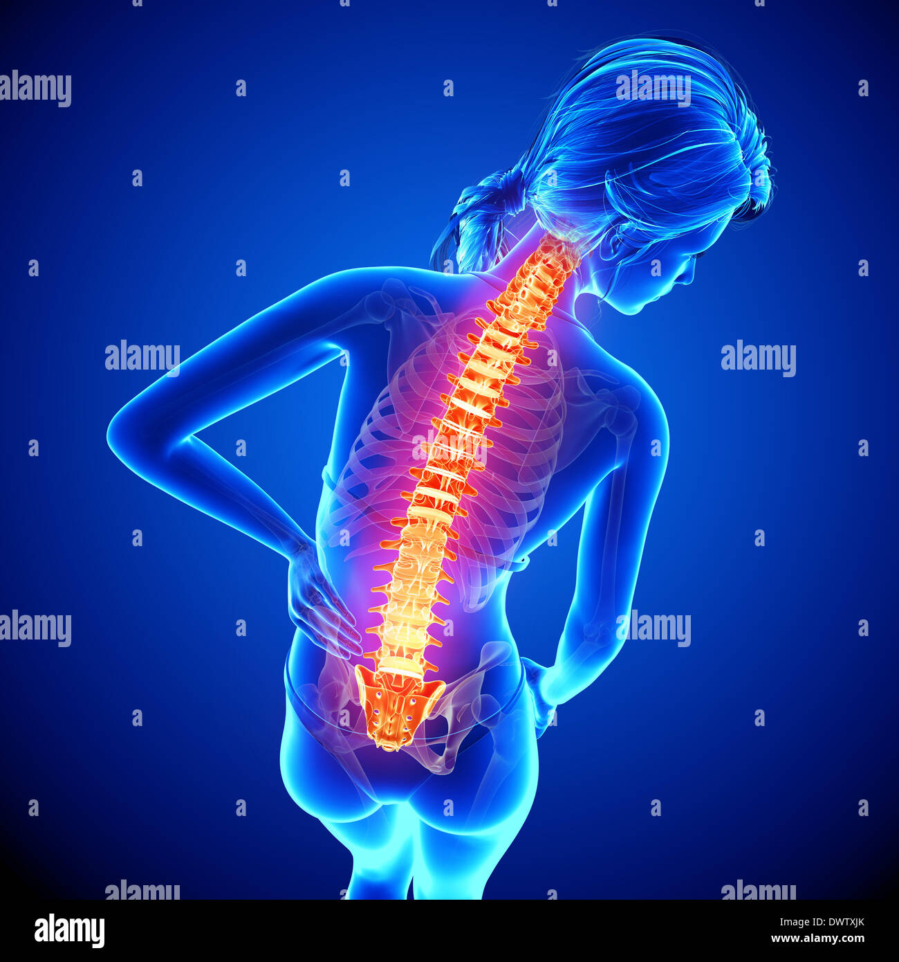 14 year old girl drawing hi-res stock photography and images - Alamy